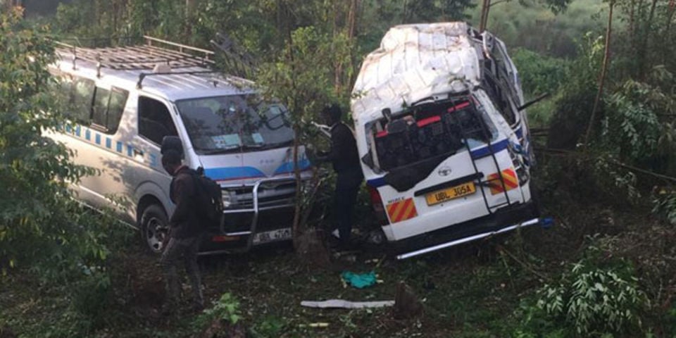 One dead, seven injured as herd of cattle cause serious road accident ...