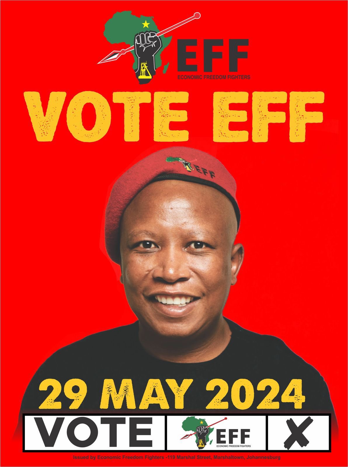 Malema's EFF launches 'Our Land and Jobs Now' campaign ahead of 2024 ...